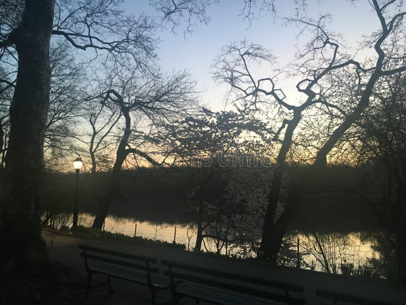 Dawn in Spring in Central Park in Manhattan, New York, NY. Stock Image ...