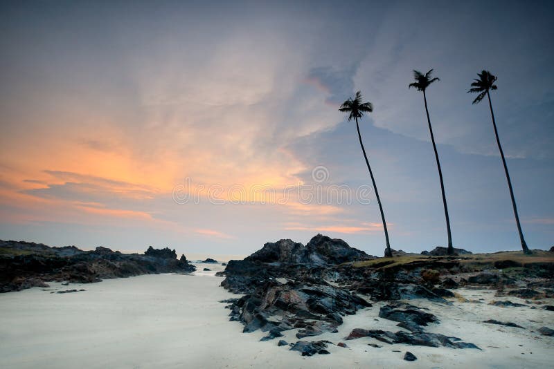 Dawn View of Sand Beach with Rocks Stock Photo - Image of rocks ...