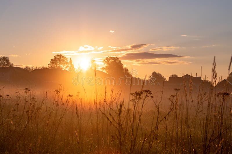 Dawn in the Village on a Field with Grass Covered with Dew Stock Image ...