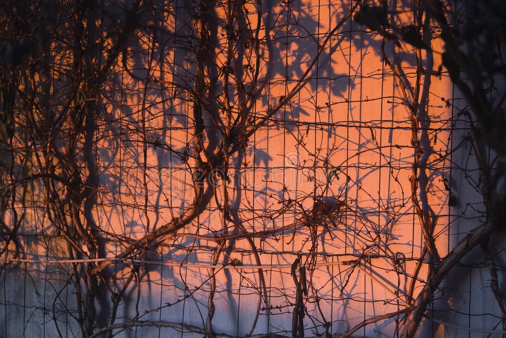 Dawn on the wall stock image. Image of sunlight, landscape - 180107277