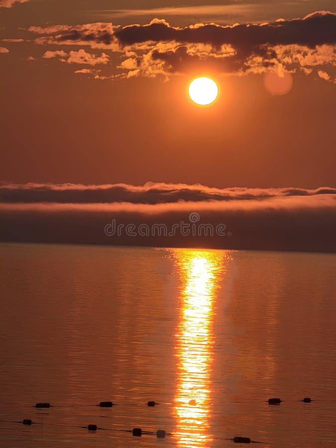 The Dawning of a New Age stock photo. Image of fragile - 92554596