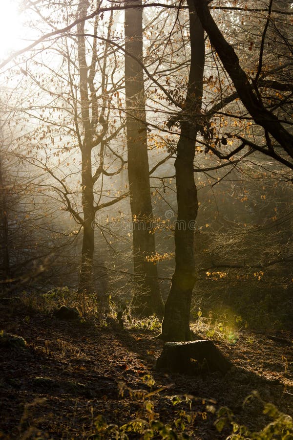 By dawns early light stock image. Image of british, dawn - 36560731