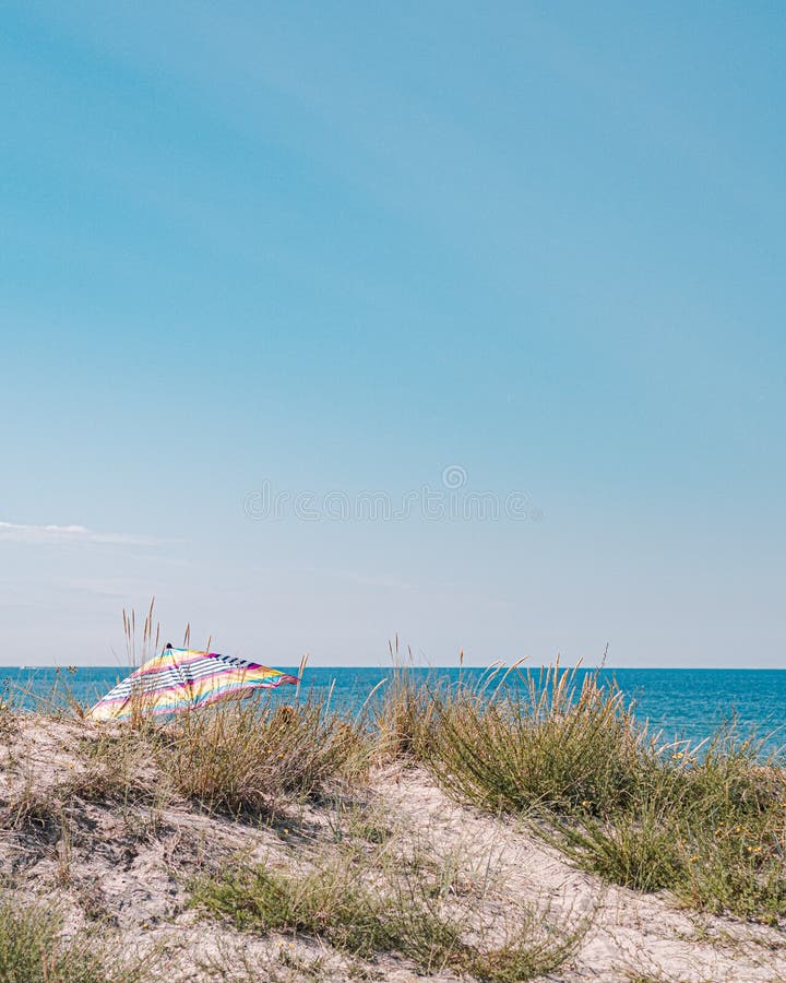 A day at the beach stock image. Image of humid, islandlife - 156729527