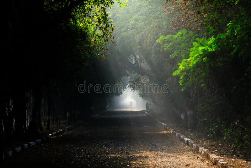 Day break for a greenery stock photo. Image of road - 231209744