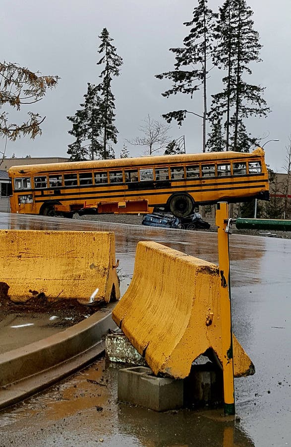 Day 85. Bus-ted Picture. Image: 97838358