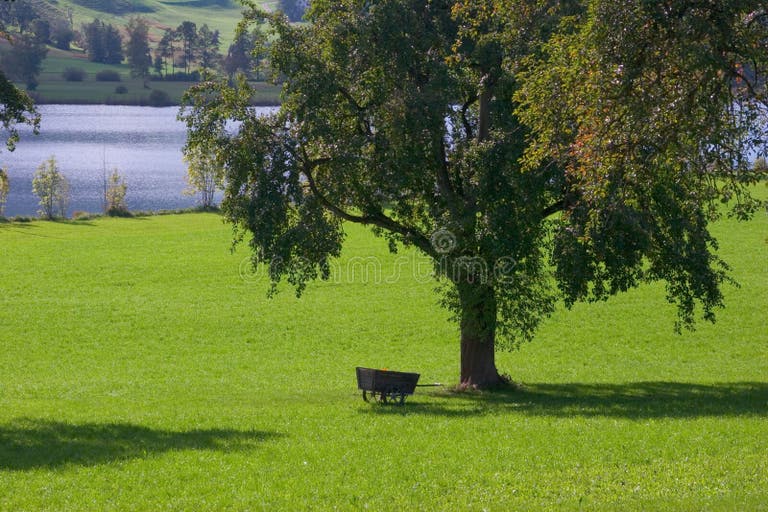 437 Lake Sun Location Country Stock Photos - Free & Royalty-Free Stock ...