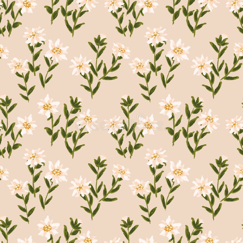Soft Creamy Edelweiss Floral Seamless Vector Pattern. Stock Vector ...