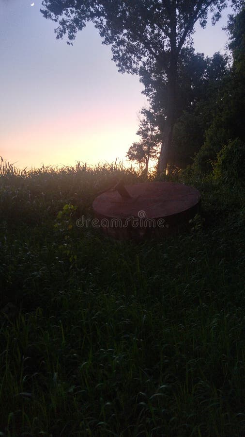 654 Day Fading Night Stock Photos - Free & Royalty-Free Stock Photos ...