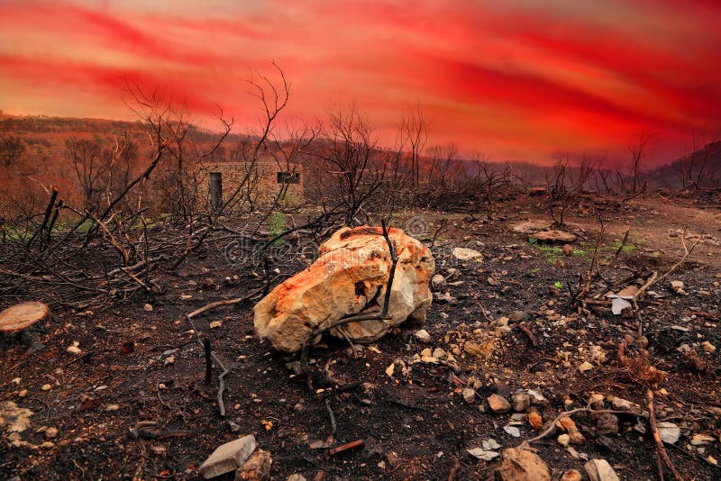 Day After A Fire Picture. Image: 25909384