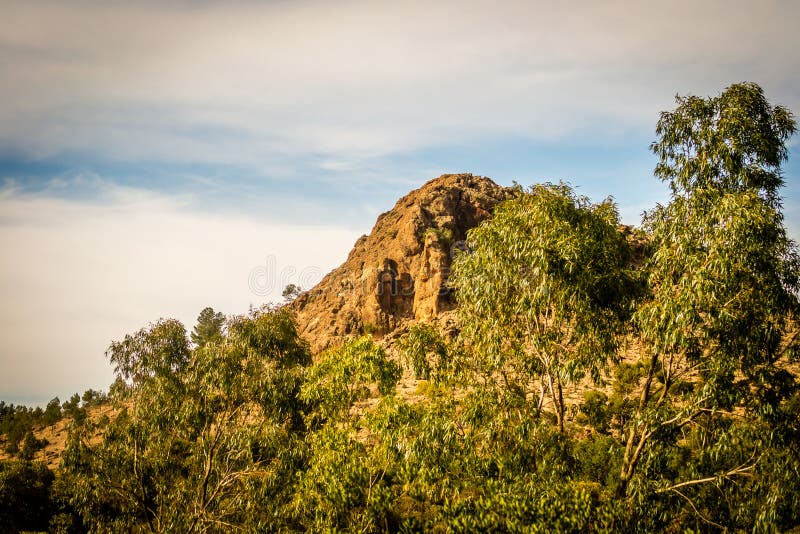 Day in the forest stock image. Image of misty, natural - 124294177