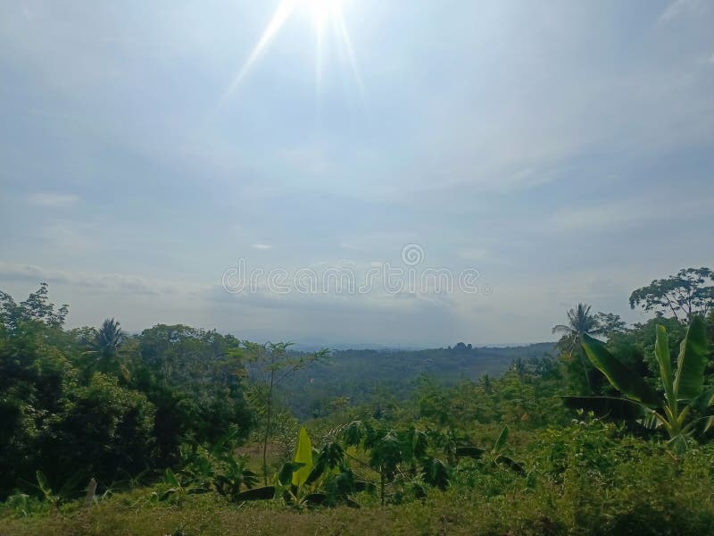 During the Day in the Garden in the Highlands Stock Image - Image of ...