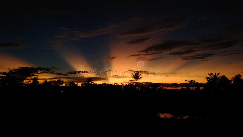 The Day Goes Dark Over the Trees in the Dry Season Stock Image - Image ...