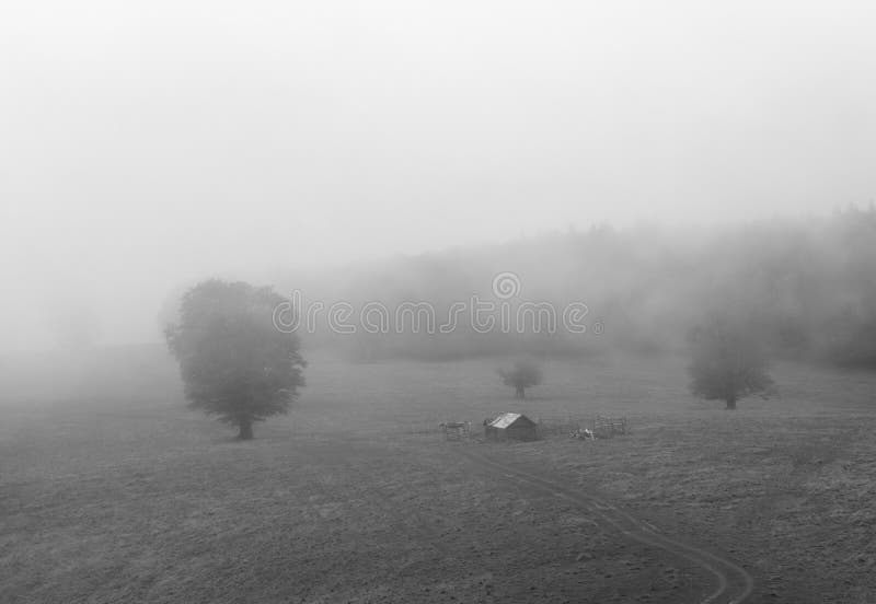 Day in the Life of a Farmer on a Foggy Day Stock Image - Image of ...