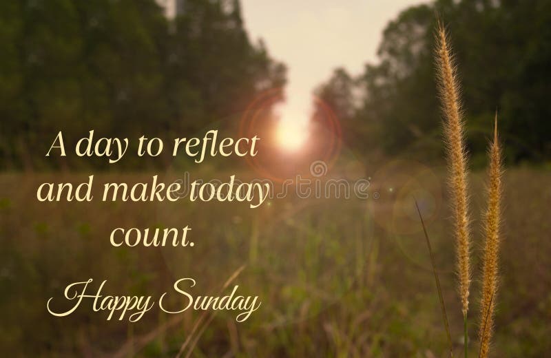 A Day O Reflect and Make Today Count. Happy Sunday Greeting Stock Photo ...