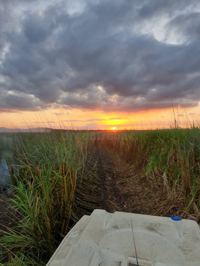 Sunset on Sugar Ridge Road, Ennis, TX Stock Photo - Image of seasonal ...