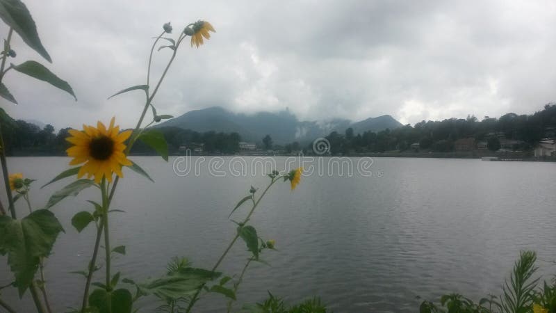 A day of peace at the lake stock photo. Image of view - 96166290