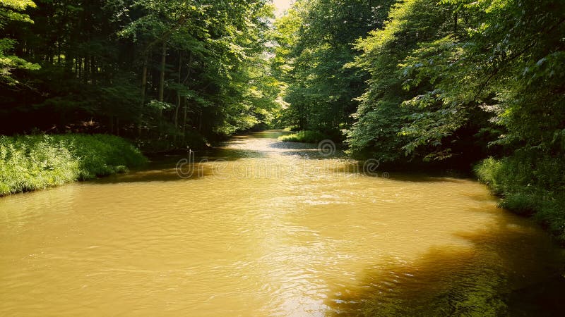 Day by the River stock image. Image of river, beautiful - 127104221