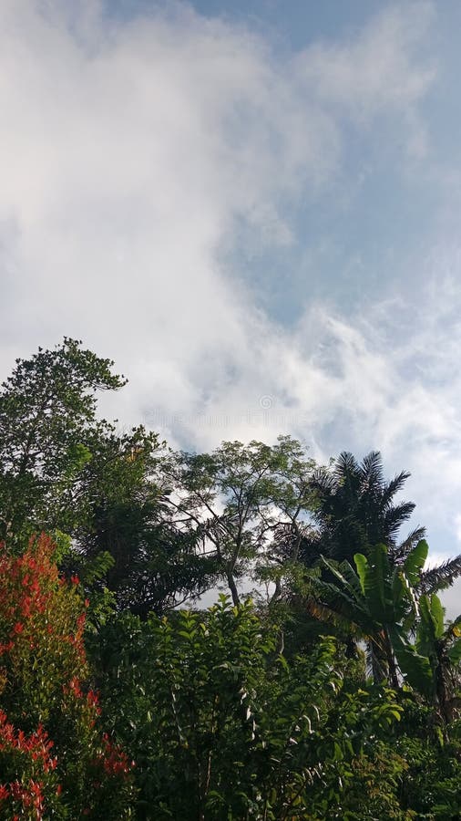 A Set of White Outdoor Chairs and Grassland with a Rainbow Across Sky ...
