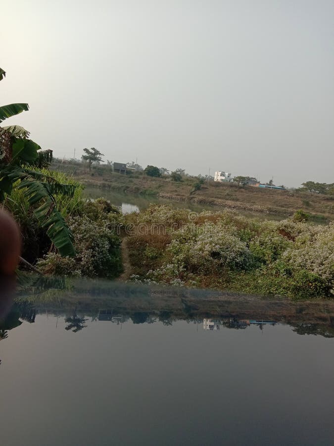 Daya river stock image. Image of river, daya, bank, side - 169385053