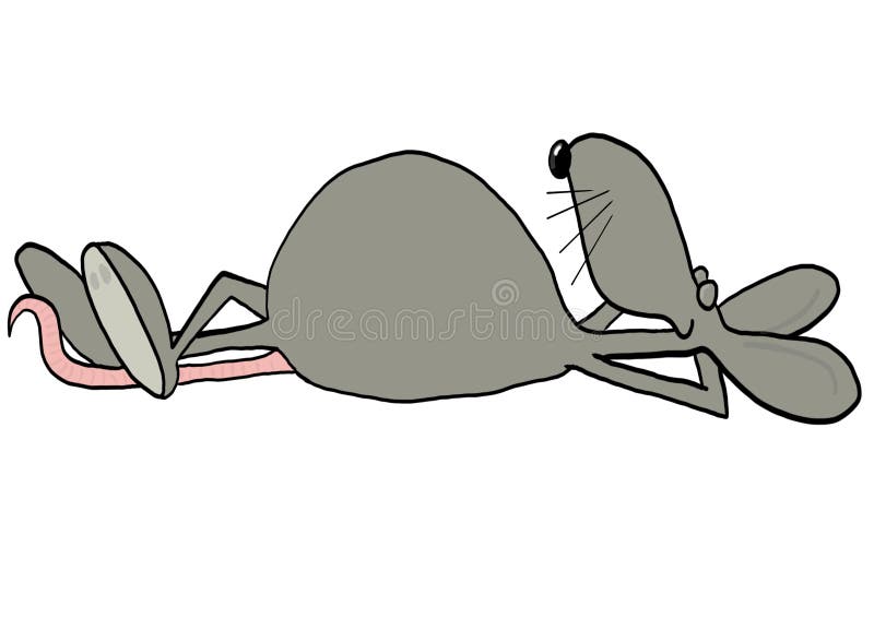 Daydreaming Rat Laying on Its Back Stock Illustration - Illustration of ...