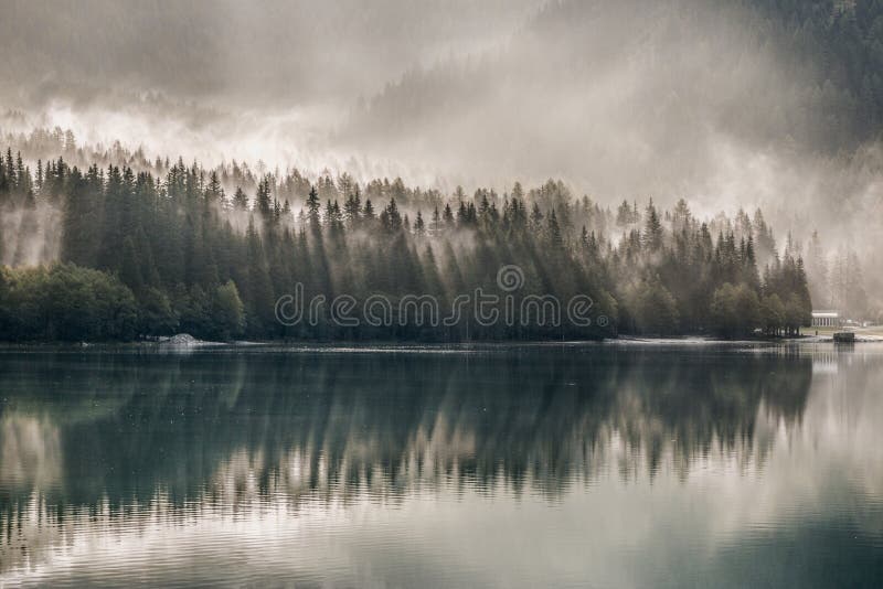 Daylight, Environment, Fog, Foggy, Picture. Image: 102998499