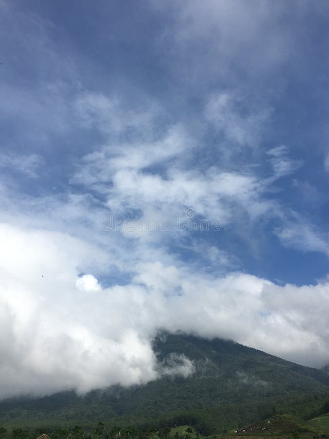 Daylight stock image. Image of hide, clouds, daylight - 262720819