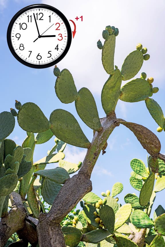 Daylight Saving Time. DST. Wall Clock Going To Winter Time Stock Photo ...