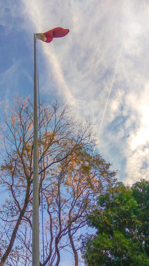 Days in the Philippines in a Sunny Day Stock Photo - Image of flower ...