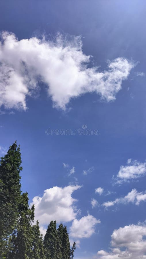 Daytime Blue Sky Glimpse of Sunlight Stock Image - Image of clouds ...