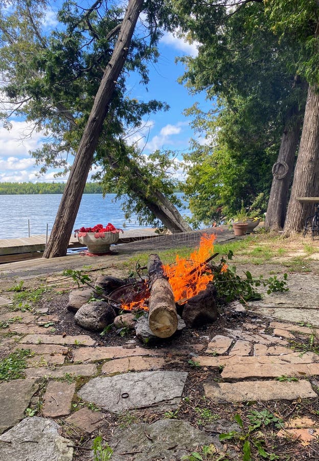 Daytime Campfire stock photo. Image of lake, flora, sunny - 291412146