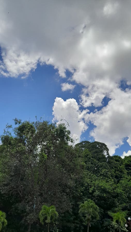 Daytime Clouds and Trees in Yogyakarta Stock Image - Image of ...