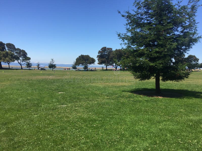 Daytime field with trees stock image. Image of trees - 76222743