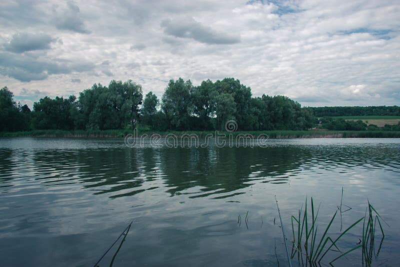 Daytime Fishing in the Summer on a Pond. Stock Photo - Image of ...