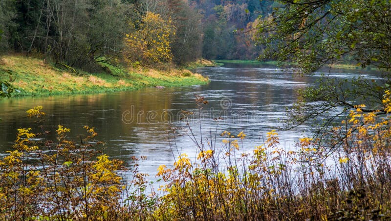 Flowing River in Fall Nature Stock Image - Image of autumn, stream ...