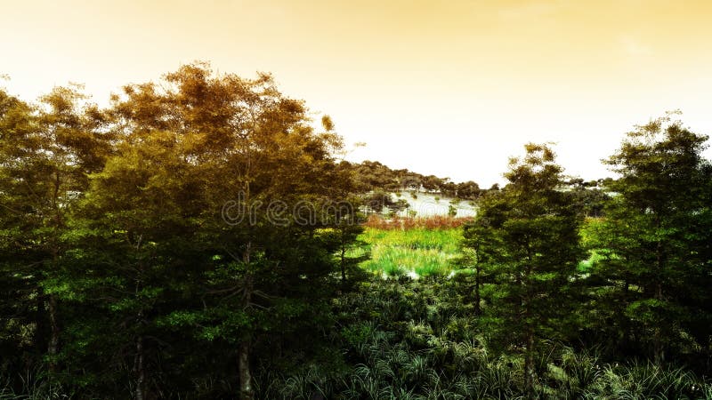 Daytime Forest Environment stock illustration. Illustration of natural ...