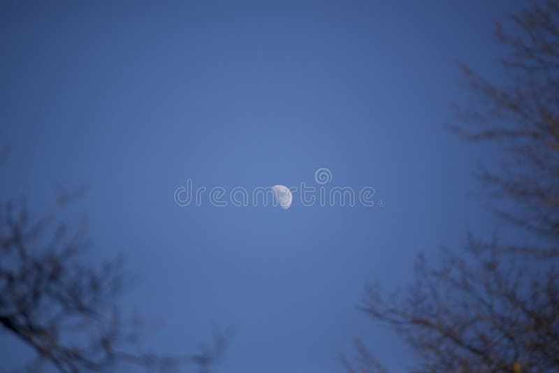 Daytime moon stock photo. Image of winter, epping, moon - 37649970