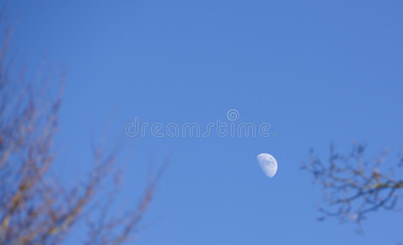 Daytime moon stock photo. Image of moon, winter, reserve - 37650022