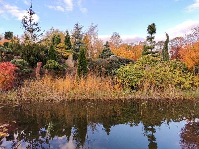 Daytime Pond Reflection stock image. Image of pond, flowers - 202019779