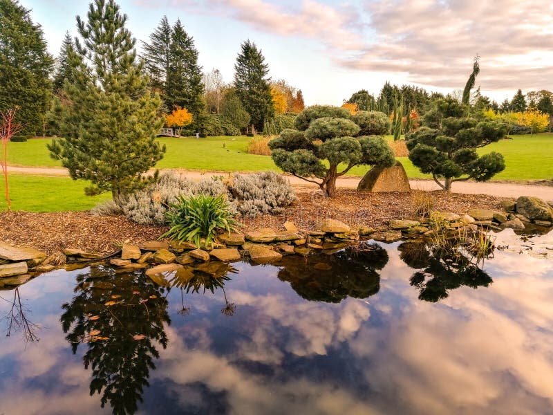 Daytime Pond Reflection stock photo. Image of wilderness - 202020278