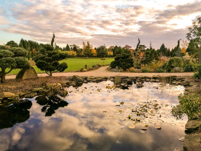 Daytime Pond Reflection stock image. Image of walkway - 202020957