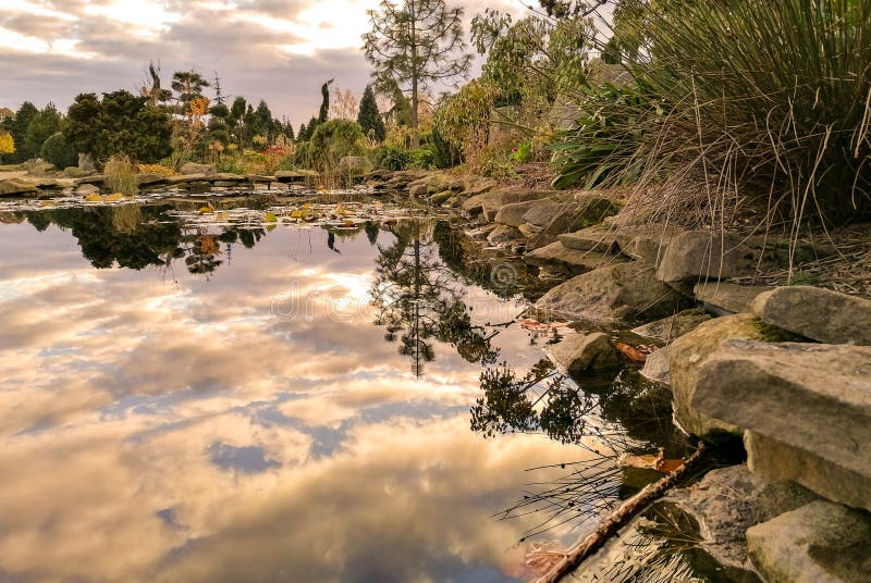 Daytime Pond Reflection stock image. Image of space - 202020973