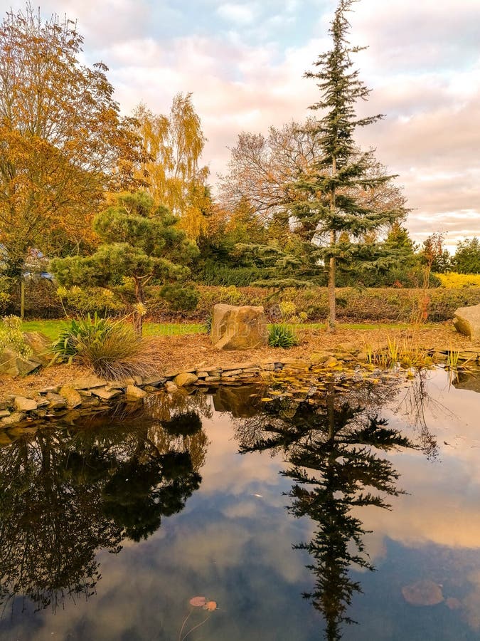 Daytime Pond Reflection stock photo. Image of walkway - 202021038