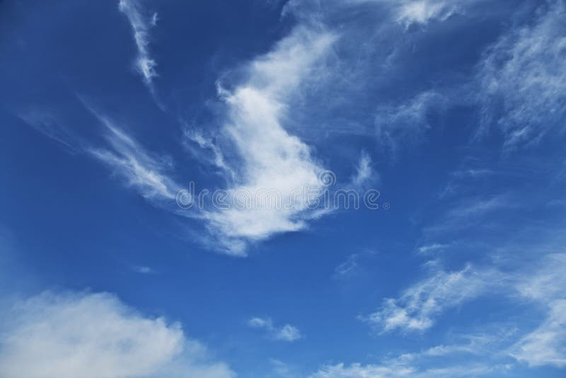 Daytime summer blue sky stock photo. Image of beautiful - 15110348