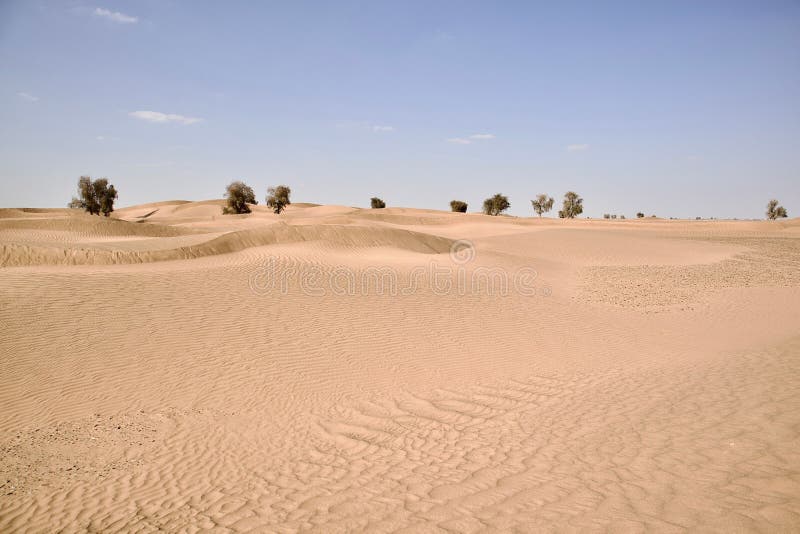 Daytime View of Sand Dunes in a Desert Stock Image - Image of landscape ...