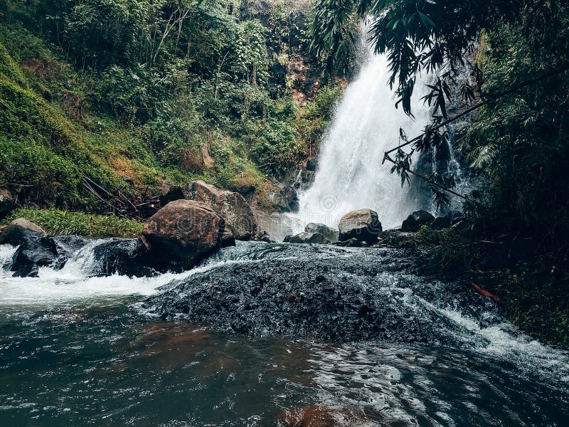 Dazzling Hidden Waterfalls and Streams in the Middle of the Forest ...