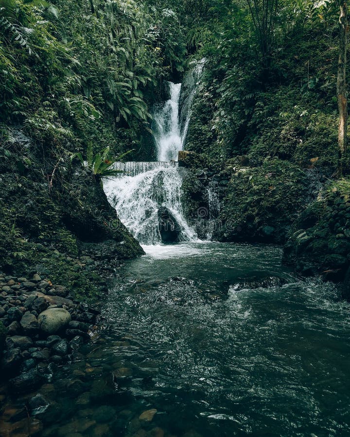 Dazzling Hidden Waterfalls and Streams in the Middle of the Forest ...