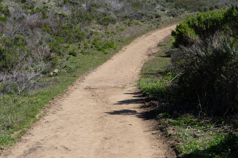 Winding Dirt Path through Coastal Scrubland Stock Photo - Image of ...