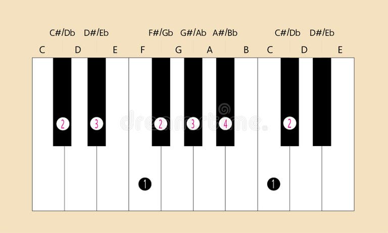 Db Major Scale Fingering for Piano Stock Illustration - Illustration of ...