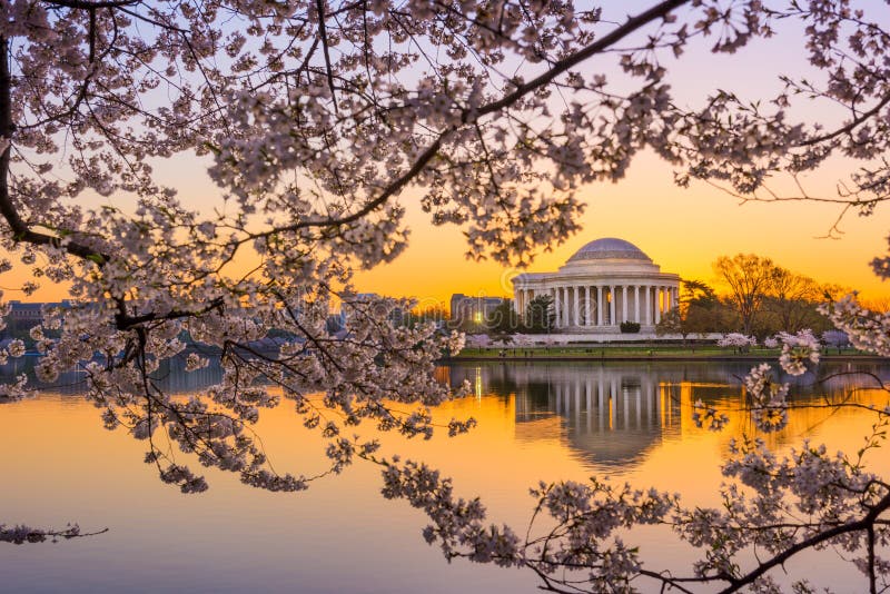 DC in Spring stock photo. Image of spring, springtime - 64788740