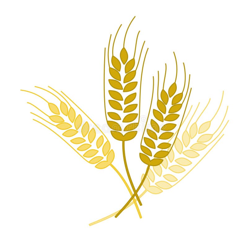 De aar van de tarwe vector illustratie. Illustration of korrel - 22196114